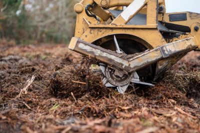 Efficient Forestry Mulching Services for Land Clearing Projects